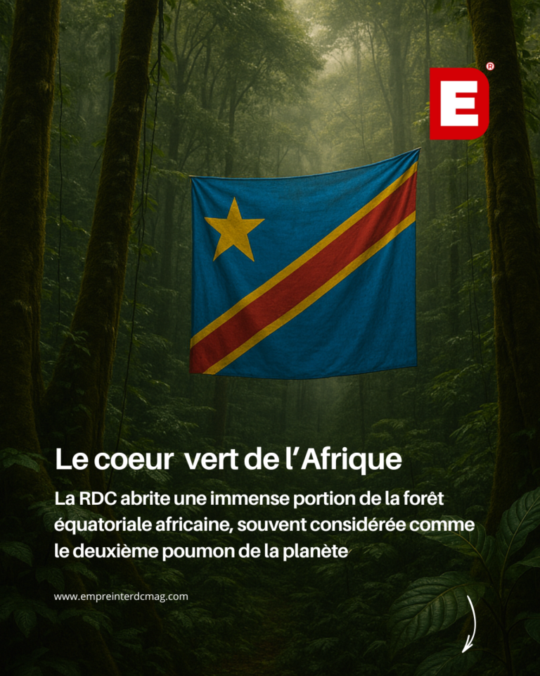 Le Cœur Vert de l’Afrique : La Forêt Équatoriale en RDC – EMPREINTE RDC MAG